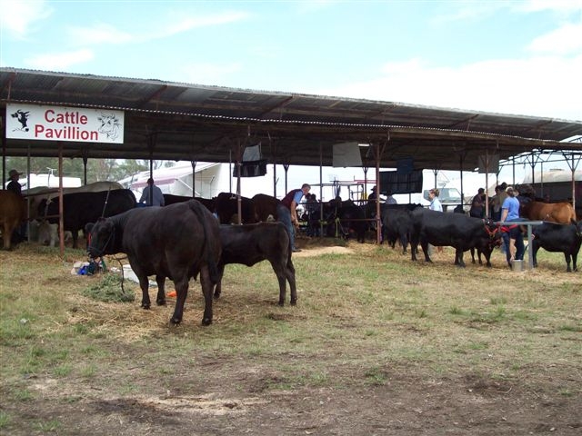 Gallery - The Luddenham Show