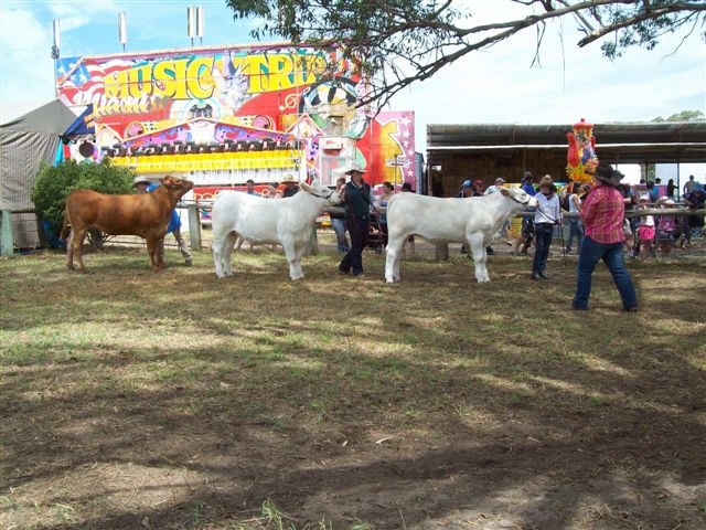 Gallery - The Luddenham Show