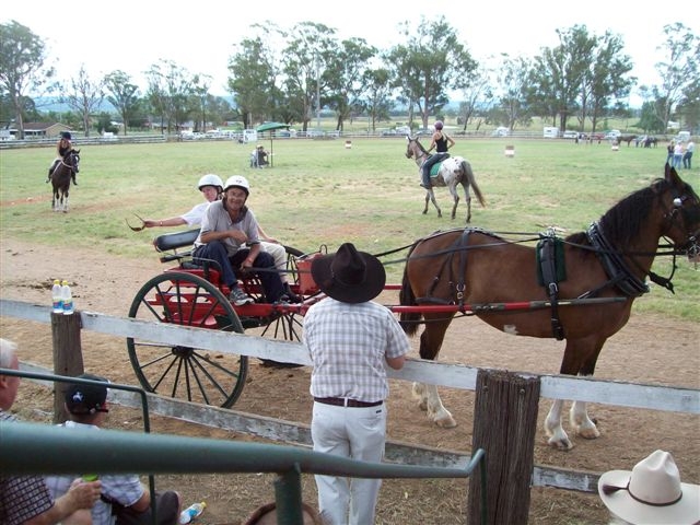 Gallery - The Luddenham Show