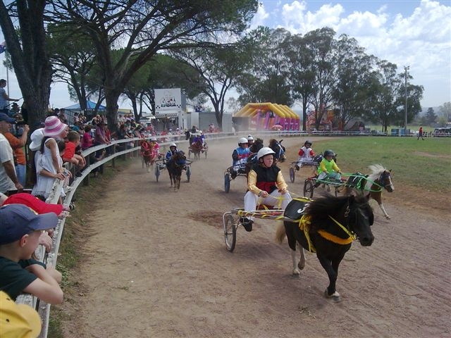 Gallery - The Luddenham Show