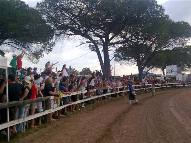 Gallery - The Luddenham Show