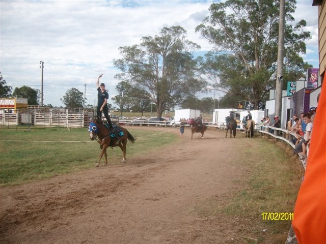 Gallery - The Luddenham Show