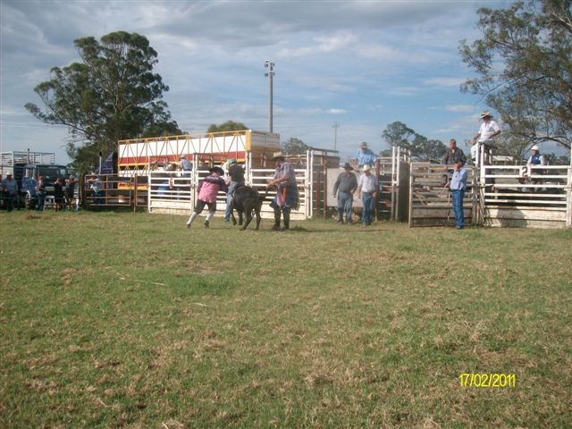 Gallery - The Luddenham Show