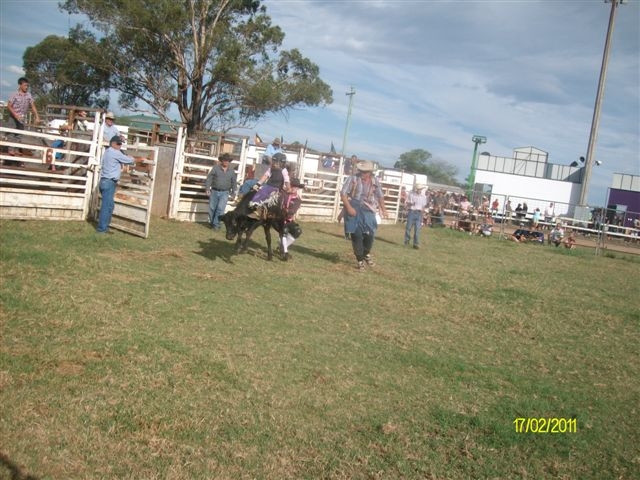 Gallery - The Luddenham Show
