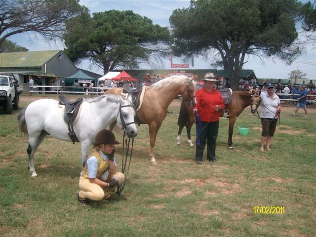 Gallery - The Luddenham Show